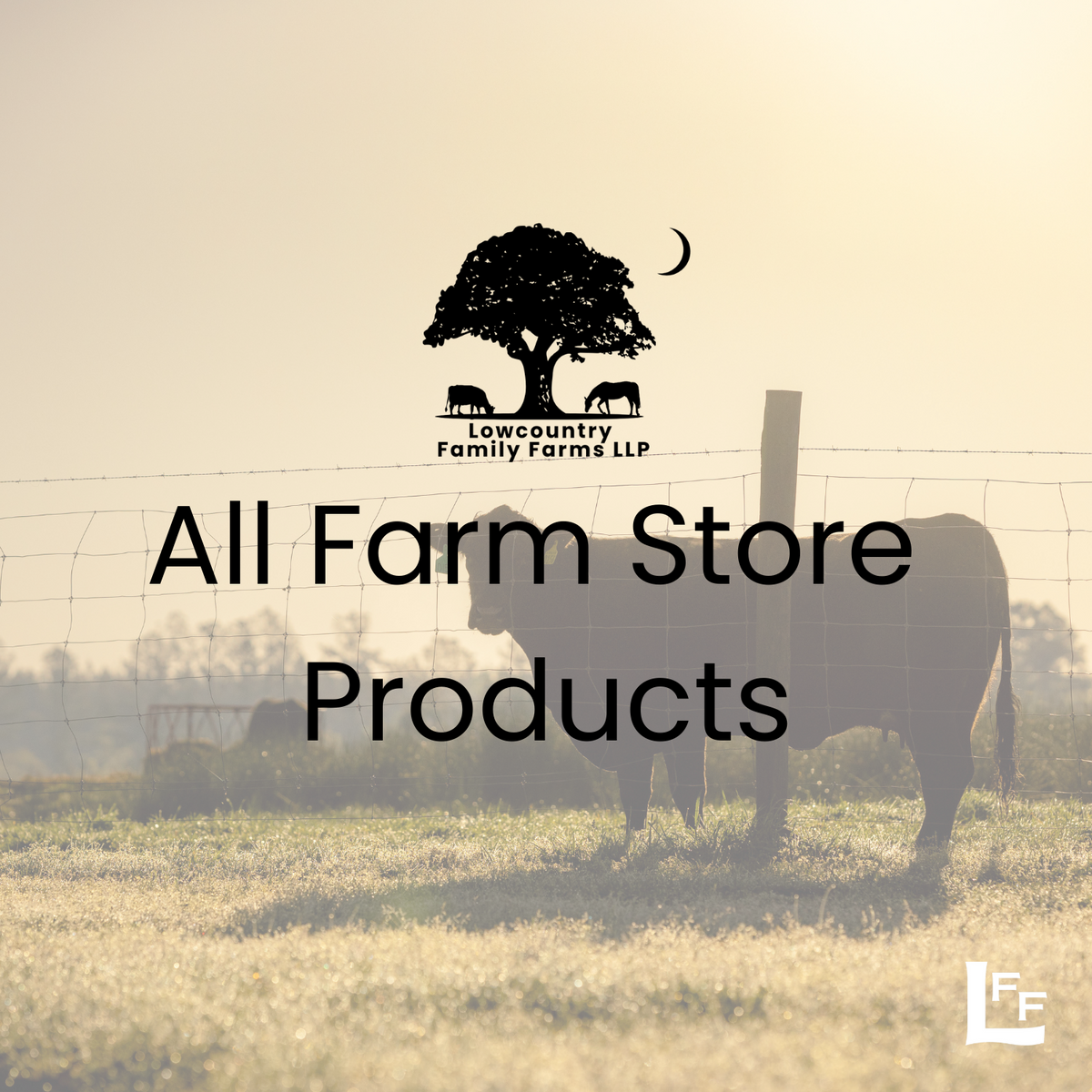 Farm Store – Lowcountry Family Farms