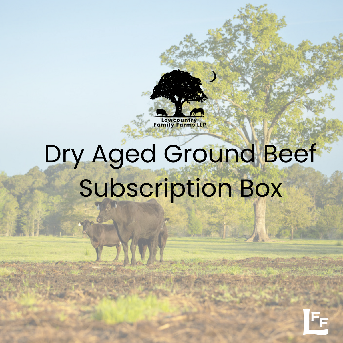Ground Beef Subscription Box – Lowcountry Family Farms