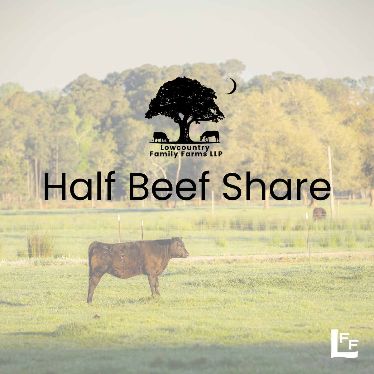 Half Beef Share Deposit – Lowcountry Family Farms